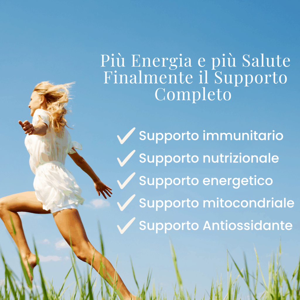 Elisir - Paleocomplex